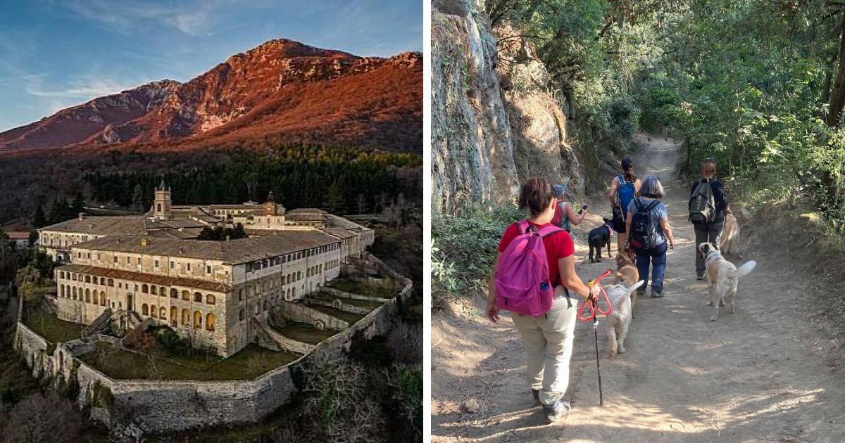 Dog trekking alla Sorgente del Fiume Aniene - Evento - Kanito