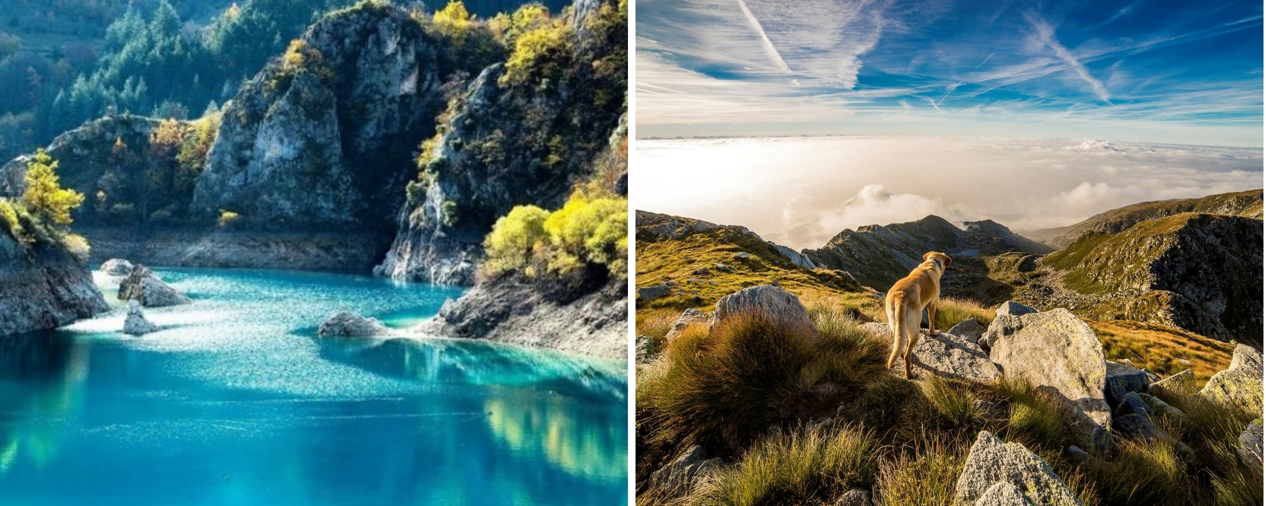 Dog Hiking Alle Gole del Sagittario - Evento - Kanito